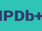 Ipdb Internet Puzzle Database