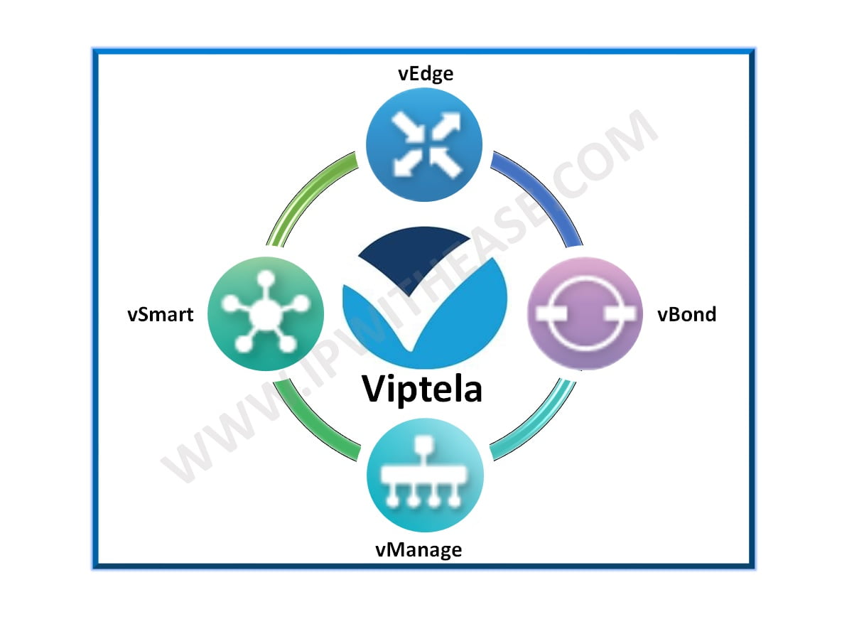 Cisco Viptela System Properties - IP With Ease