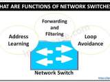 Bridge Vs Switch Know The Difference Ip With Ease
