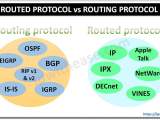 Routed Protocols Vs Routing Protocols Ip With Ease