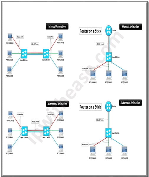 Layer 2 (VLAN and Trunk) - Animated Slides - IP With Ease