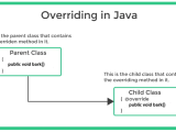 Master Method Overriding In Java Free Beginner Tutorial