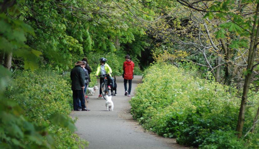 How the River Dodder Greenway can be a commuter cycle route and respect ...