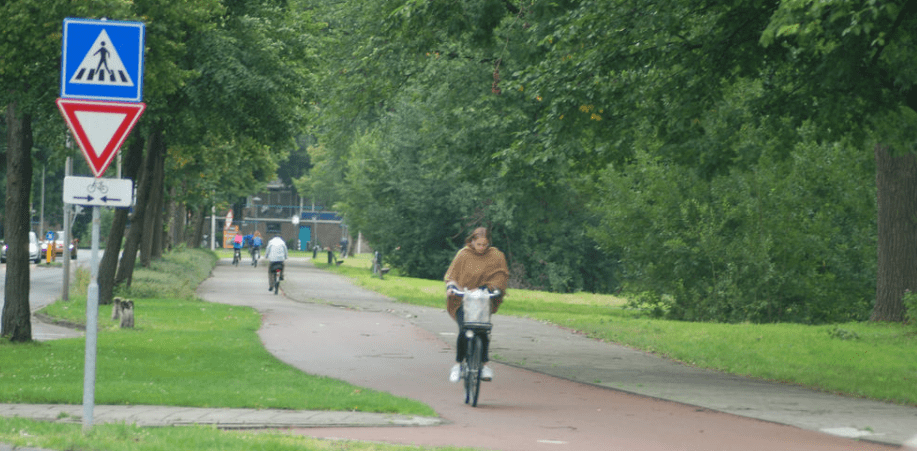 Fairview trees could be saved with a two-way cycle path – IrishCycle.com
