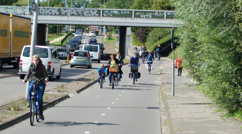 Fairview trees could be saved with a two-way cycle path – IrishCycle.com