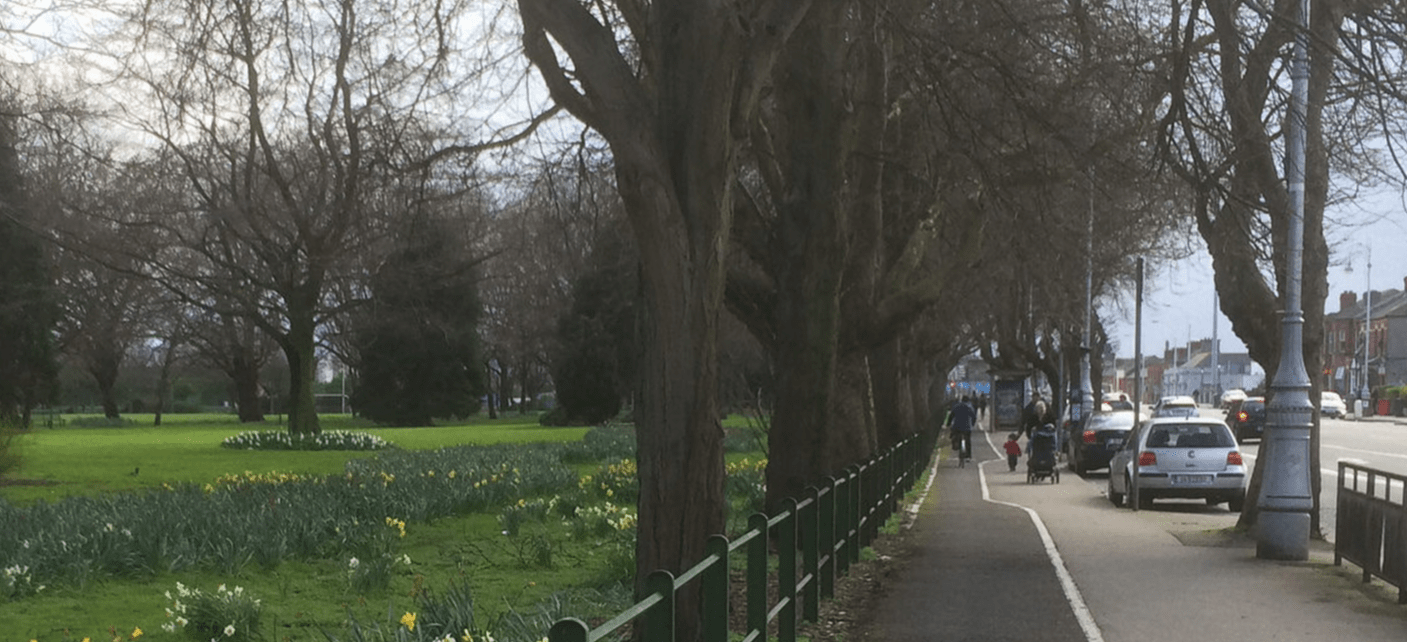 Fairview trees could be saved with a two-way cycle path -- IrishCycle.com