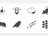 Biorender Alternatives A Scientific Illustration Software Comparison