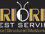 Pest Control Hampton Roads Va Pro Exterminator Termite Treatments
