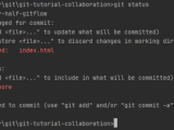 Git Collab Tutorial