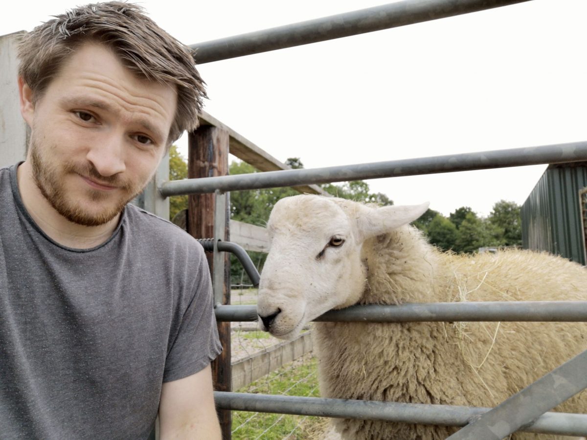Cefn Mably Farm Park Review - The Best Farm for a Day Out in South Wales