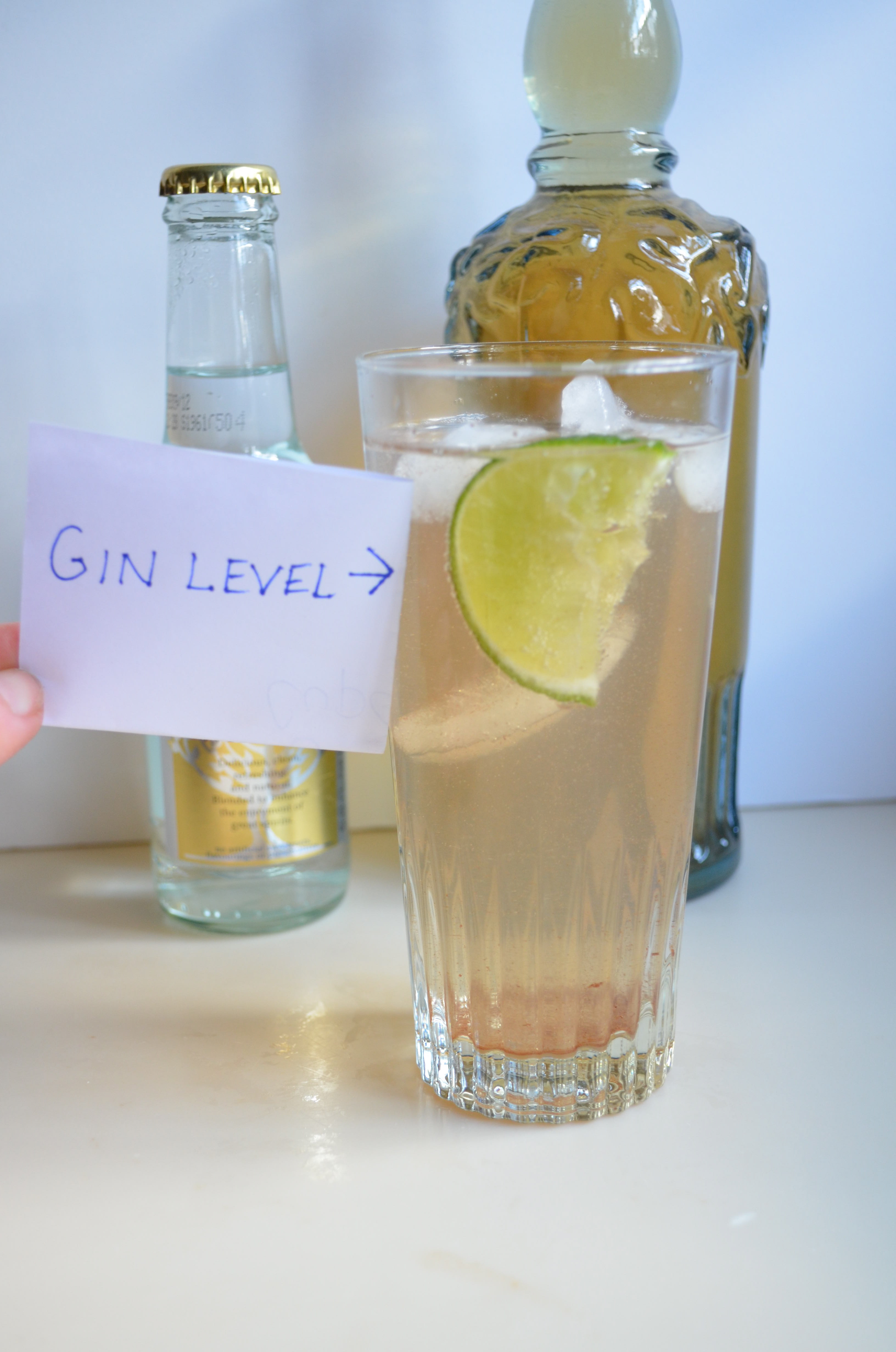 Homemade Gin And Swearing While Under The Influence Of Animal Magic ...