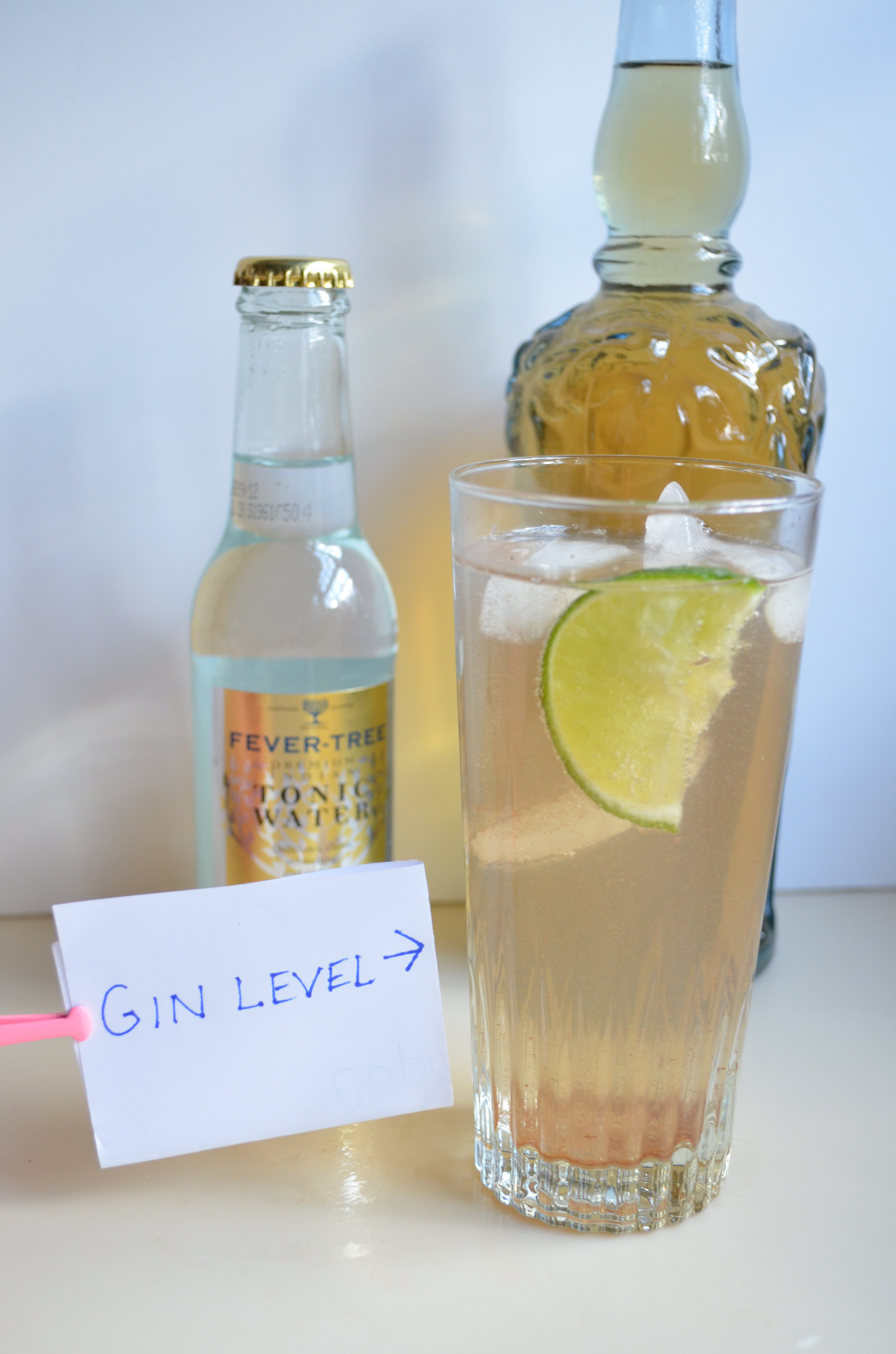 Homemade Gin And Swearing While Under The Influence Of Animal Magic ...