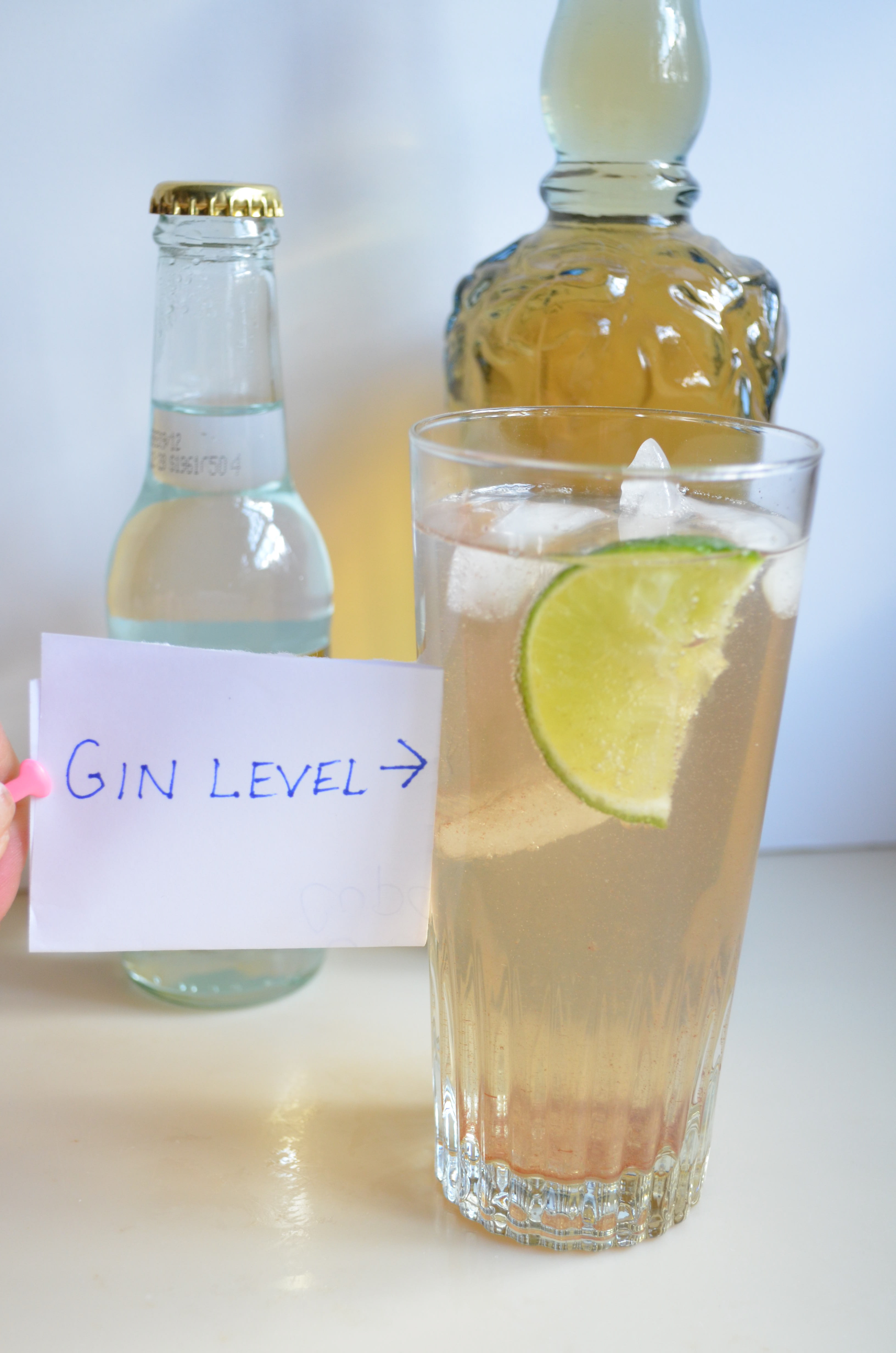 Homemade Gin And Swearing While Under The Influence Of Animal Magic ...