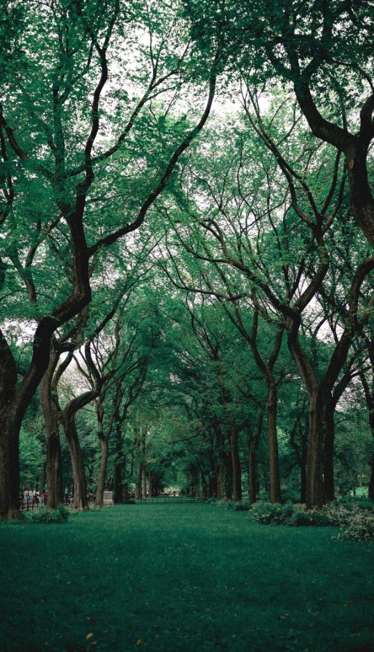 Coach - iso 20400 plus