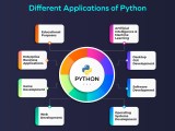 Why Choose Python Development And Benefits Of Using Python For Business