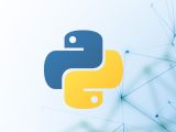 Python Development Services Iterativetech