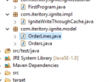 Apache Ignite Rest Api Capabilities