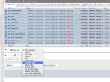The Ultimate Guide To Wordpress Databases In 2022