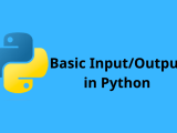 Basic Input Output In Python