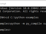 How Is A Python Program Executed
