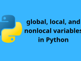 Distinguishing Global Local And Nonlocal Variables In Python