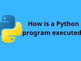 How Is A Python Program Executed