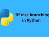 If Else Branching Control Structure In Python