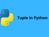 The Tuple Data Structure In Python