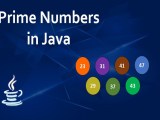 Checking For Prime Numbers In Java