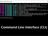 Command Line Interface Guide Ping