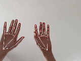 Gesture Recognition