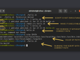 How To Run A Shell Script In Linux Essentials Explained