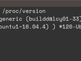 Linux Checking Kernel Version Posetke