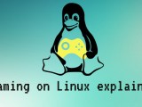 Top 31 Best Linux Games You Can Play For Free
