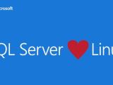 Microsoft Sql Server Is Coming To Linux