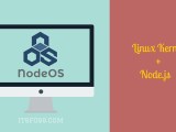 Nodeos Linux Distribution For Node Lovers