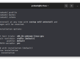 How To Install Rust And Cargo On Ubuntu And Other Linux Distributions
