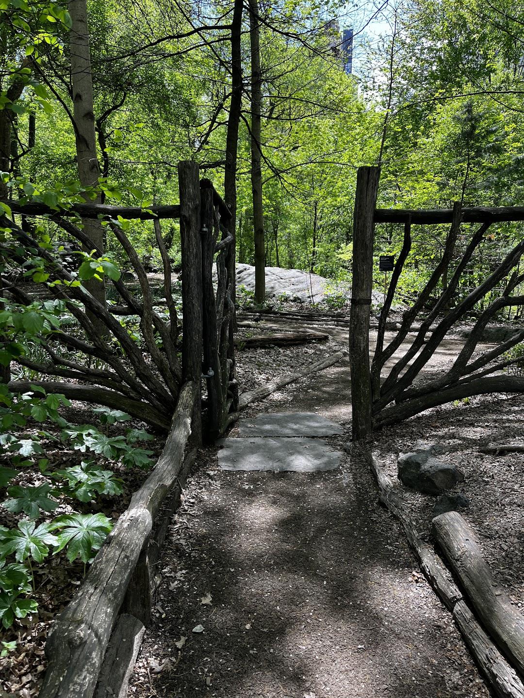 Central Park Stroll - It's Just Life