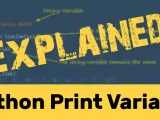 Python Print Variable Explained Its Linux Foss