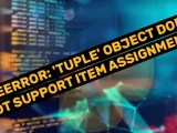 Tuple Object Limitations Of Item Assignment