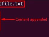 Bash While Loop Explained Its Linux Foss