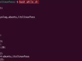 Bash While Loop Explained Its Linux Foss