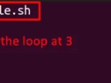 Bash While Loop Explained Its Linux Foss
