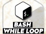 Bash While Loop Explained Its Linux Foss