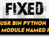 Fix Usr Bin Python No Module Named Pip Its Linux Foss