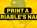 How To Print A Variable S Name In Python Its Linux Foss