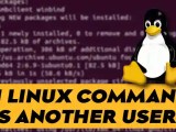 How To Run Linux Commands As Another User Its Linux Foss