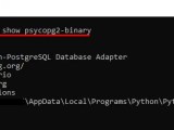 Modulenotfounderror No Module Named Psycopg2 In Python Its Linux Foss