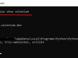 Modulenotfounderror No Module Named Selenium In Python Its Linux Foss