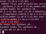 Fix Usr Bin Python No Module Named Pip Its Linux Foss